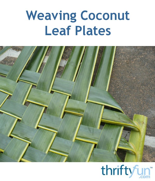 Weaving Coconut Leaf Plates | ThriftyFun