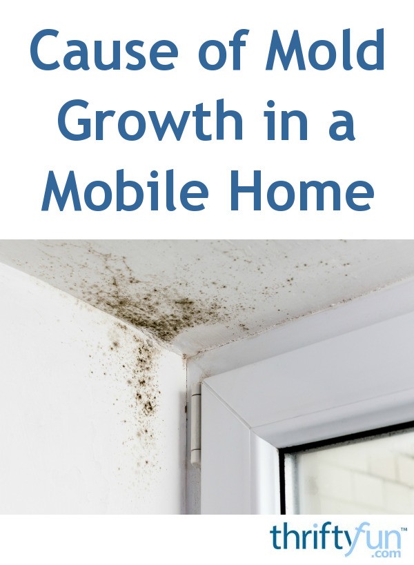 Cause of Mold Growth in a Mobile Home? | ThriftyFun