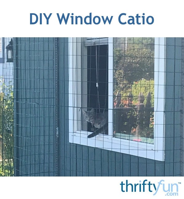DIY Window Catio | ThriftyFun