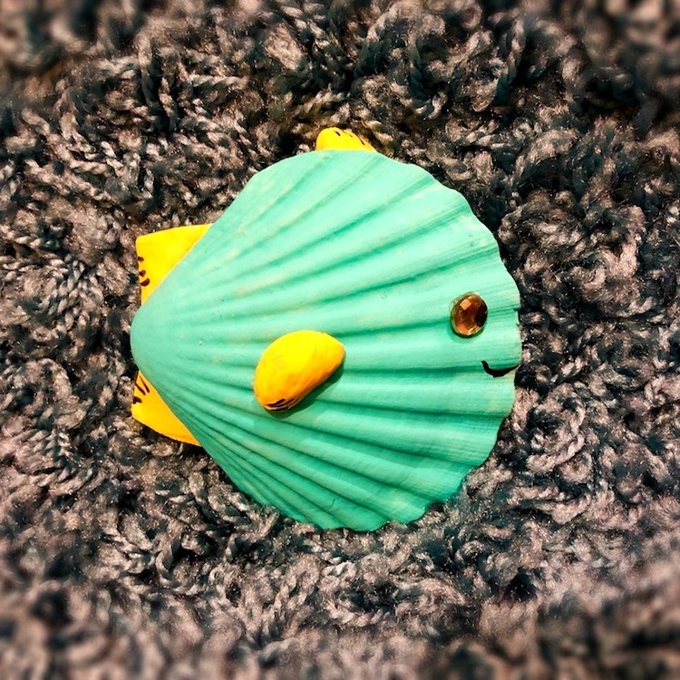 How to Make a Tropical Fish from Shells | ThriftyFun