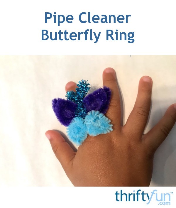 How to Make a Pipe Cleaner Butterfly Ring | ThriftyFun