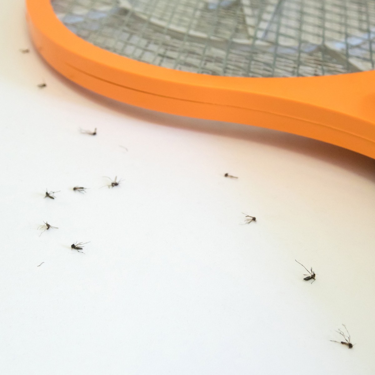 Mosquito Swatter Racket | ThriftyFun
