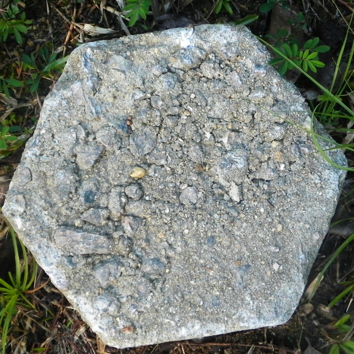 Problems with Homemade Stepping Stones? | ThriftyFun