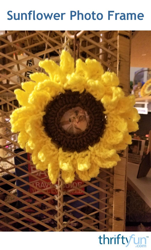 Sunflower Photo Frame | ThriftyFun
