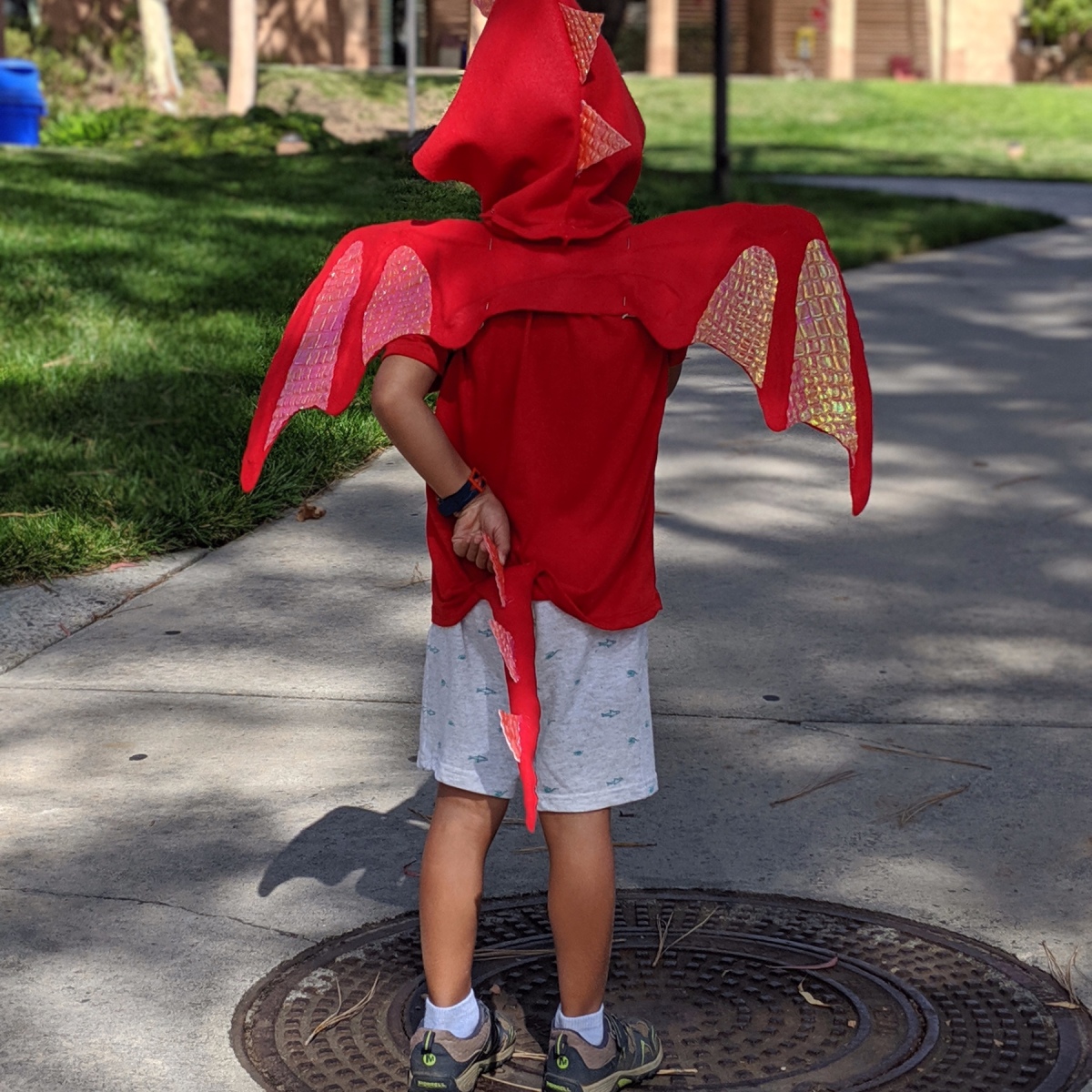 Boy's Dragon Halloween Costume | My Frugal Halloween