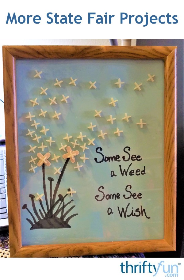 More State Fair Projects | ThriftyFun