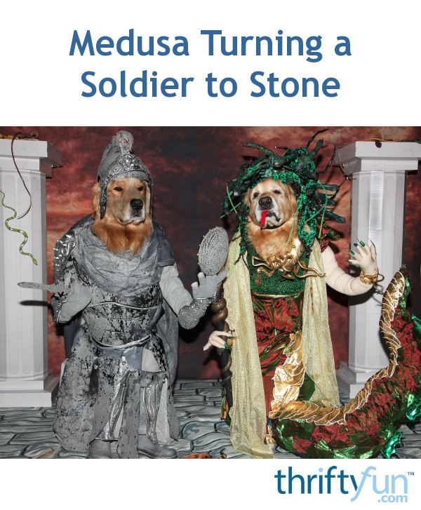 Making Medusa Turning a Soldier to Stone Costumes | ThriftyFun