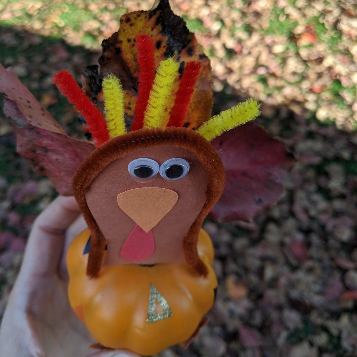 Turkey Pumpkin | ThriftyFun