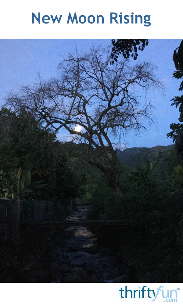 New Moon Rising | ThriftyFun