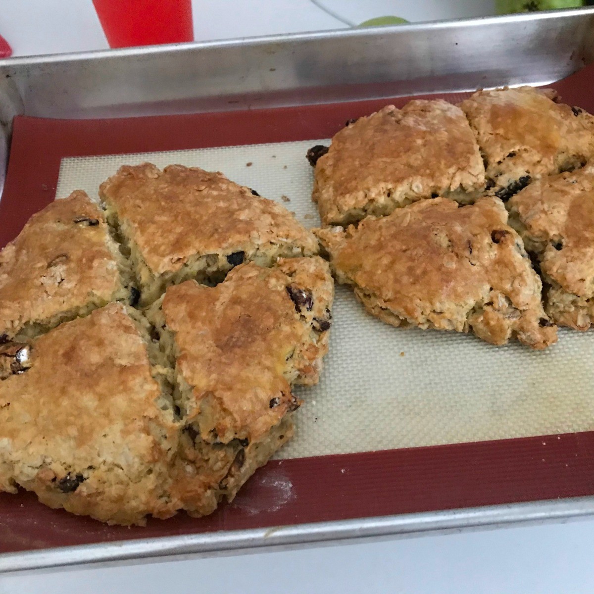 Raisin Oatmeal Scones | ThriftyFun
