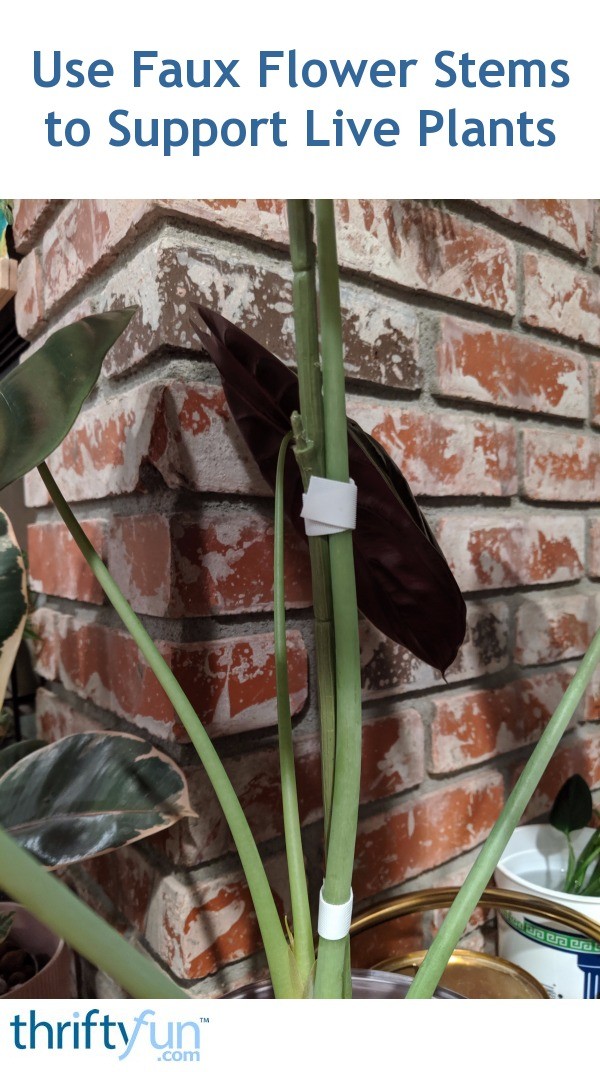 Use Faux Flower Stems to Support Live Plants | ThriftyFun