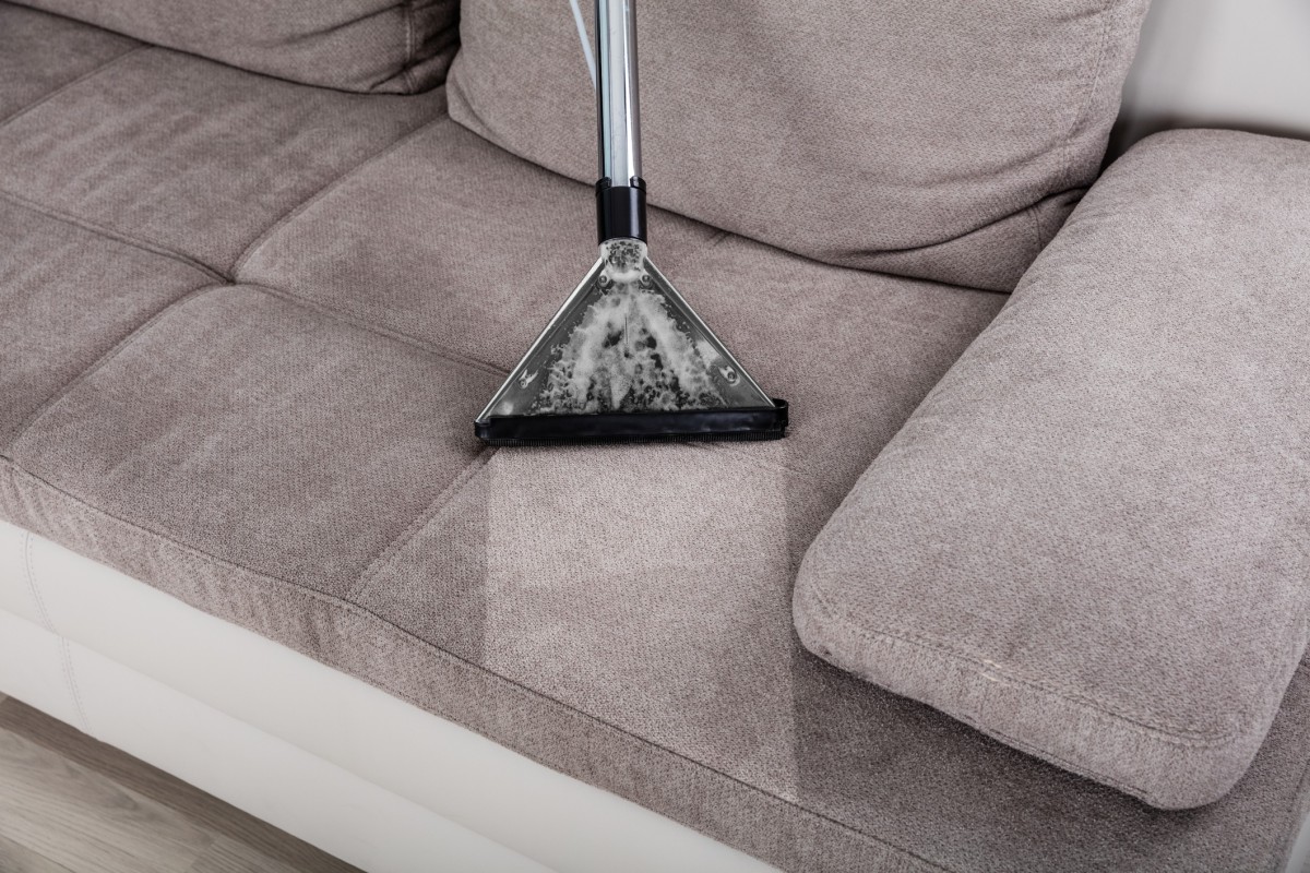 Removing Mold and Mildew From an Upholstered Couch | ThriftyFun