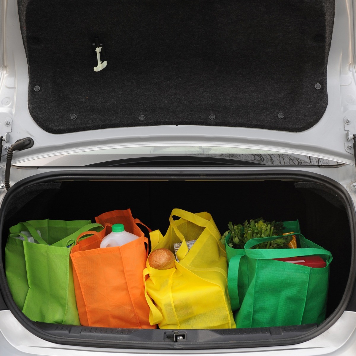 Bring Food Home Safely from Grocery Shopping Trips | ThriftyFun