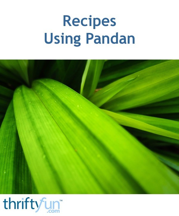 Recipes Using Pandan | ThriftyFun