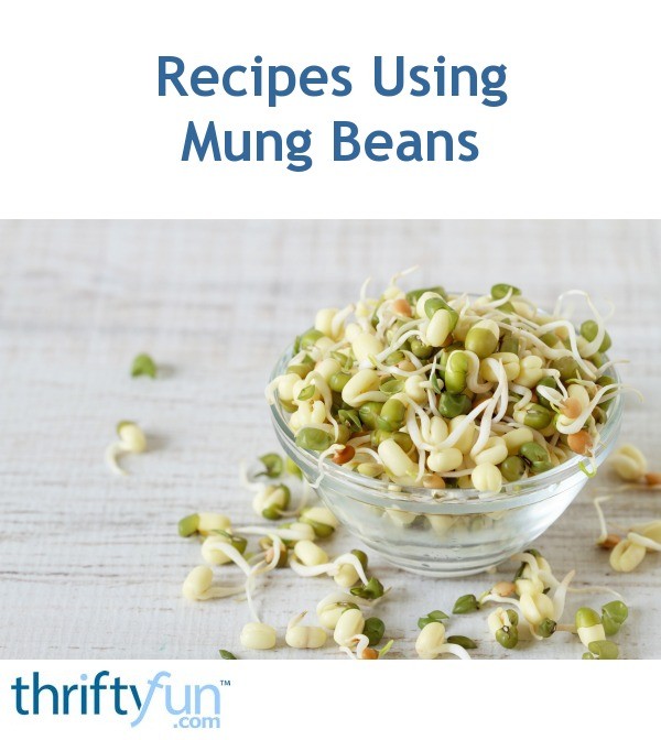 Recipes Using Mung Beans | ThriftyFun