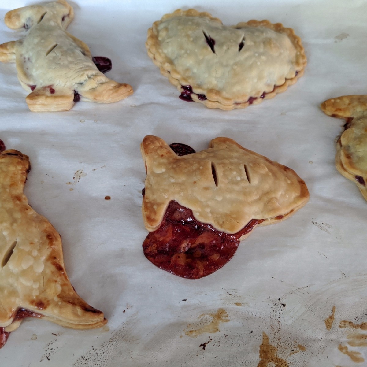 Berry Hand Pies | ThriftyFun