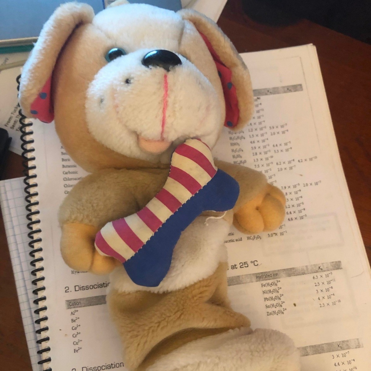 Identifying a Stuffed Toy? | ThriftyFun