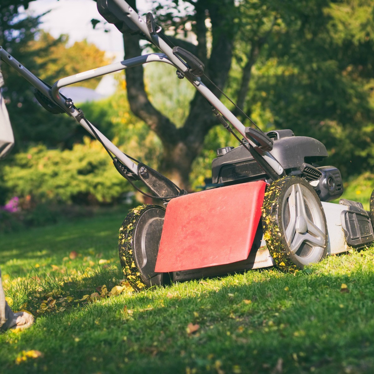 Information on Sears Push Mowers | ThriftyFun