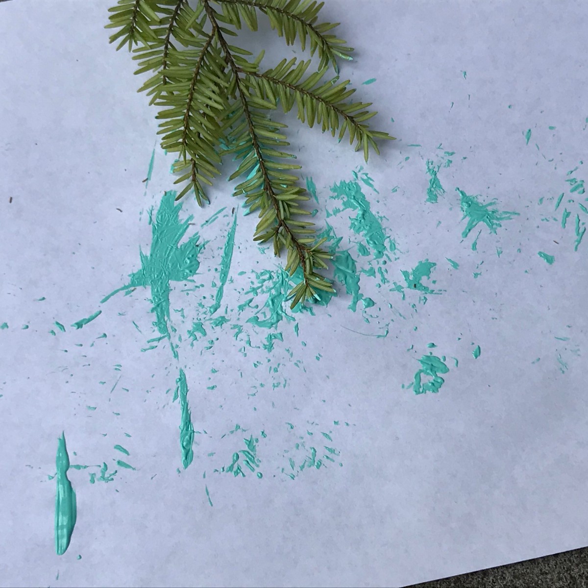 Natural Paint Brushes | ThriftyFun