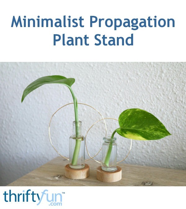 Minimalist Propagation Plant Stand | ThriftyFun