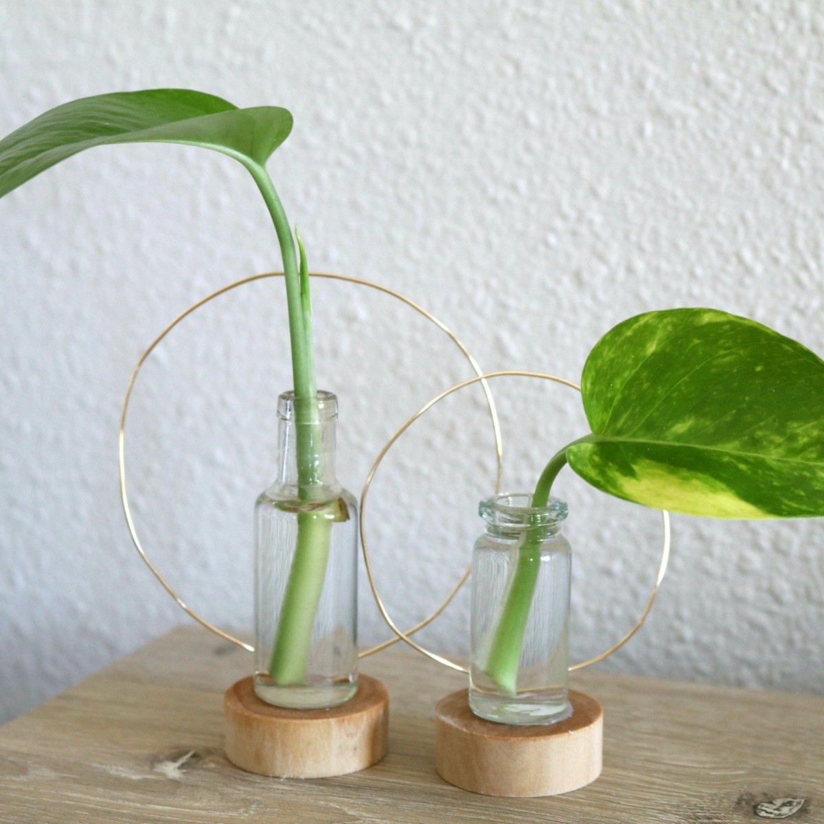 Minimalist Propagation Plant Stand | ThriftyFun