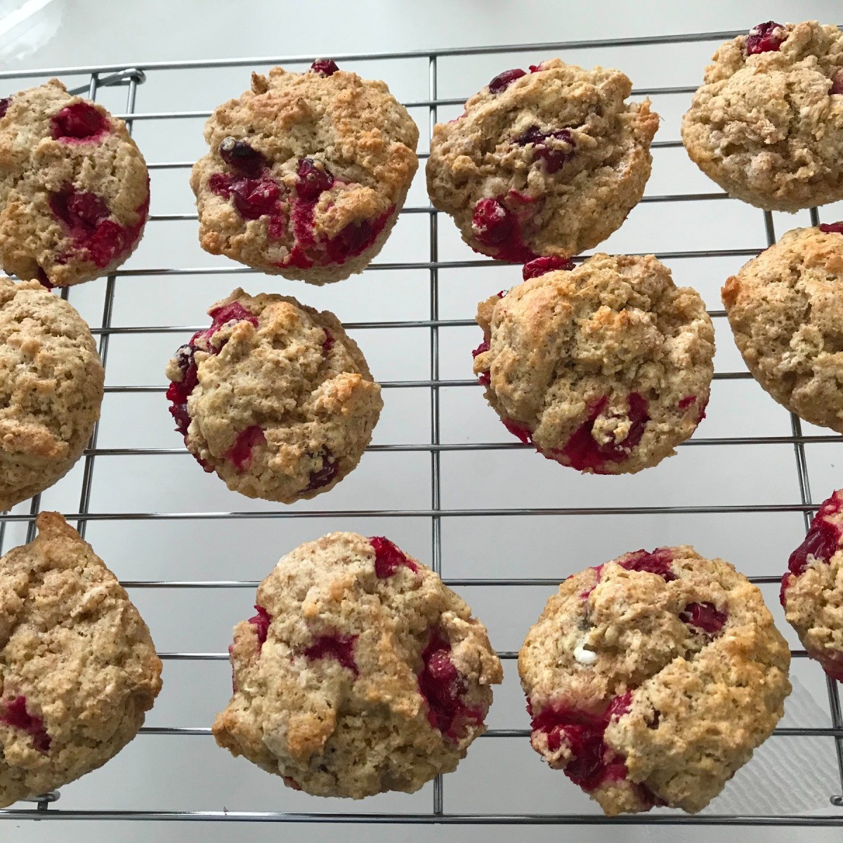 Fresh Cranberry Muffins | ThriftyFun