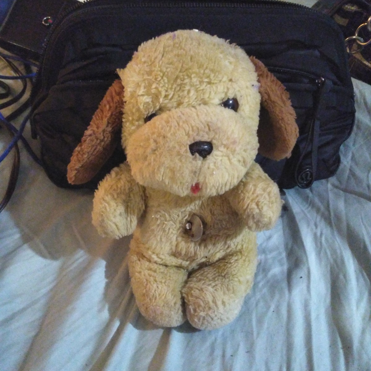 Wind-up Stuffed Dog? | ThriftyFun