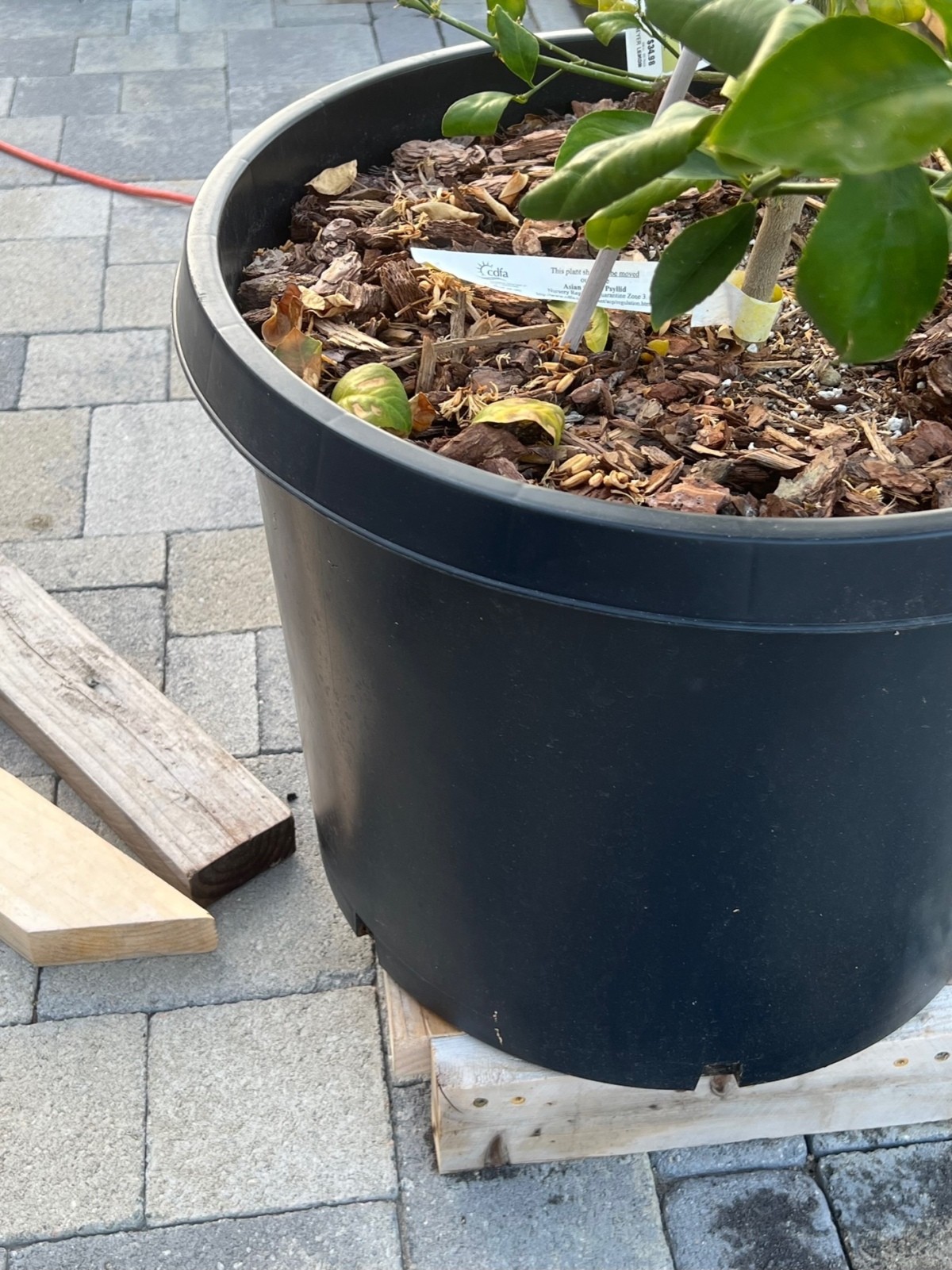 Wooden Plant Riser | ThriftyFun