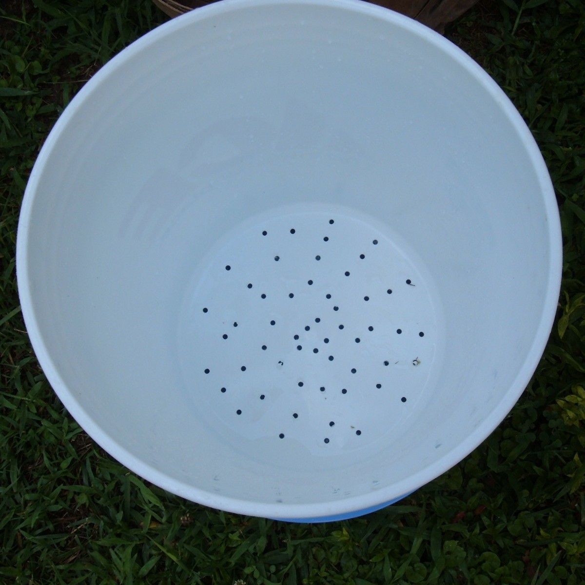Use a Drain Bucket When Washing Vegetables Outside | ThriftyFun
