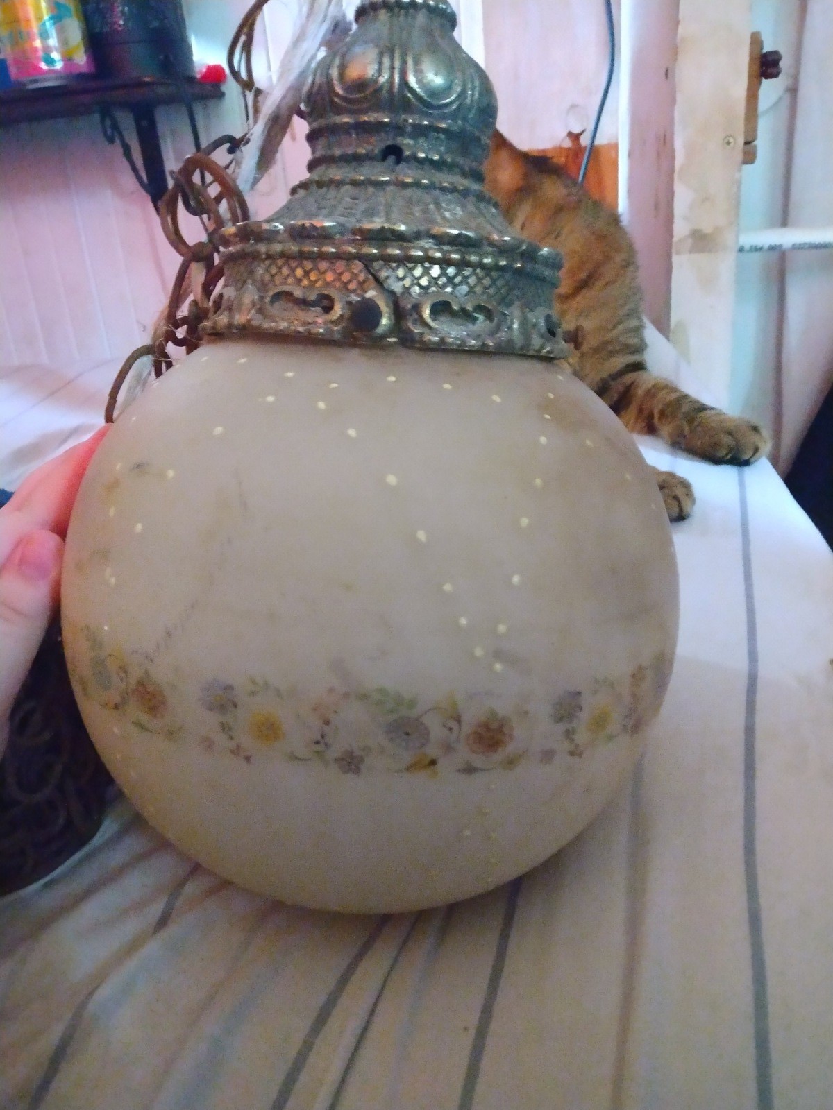 Anyone Seen This Hanging Lamp Before? | ThriftyFun