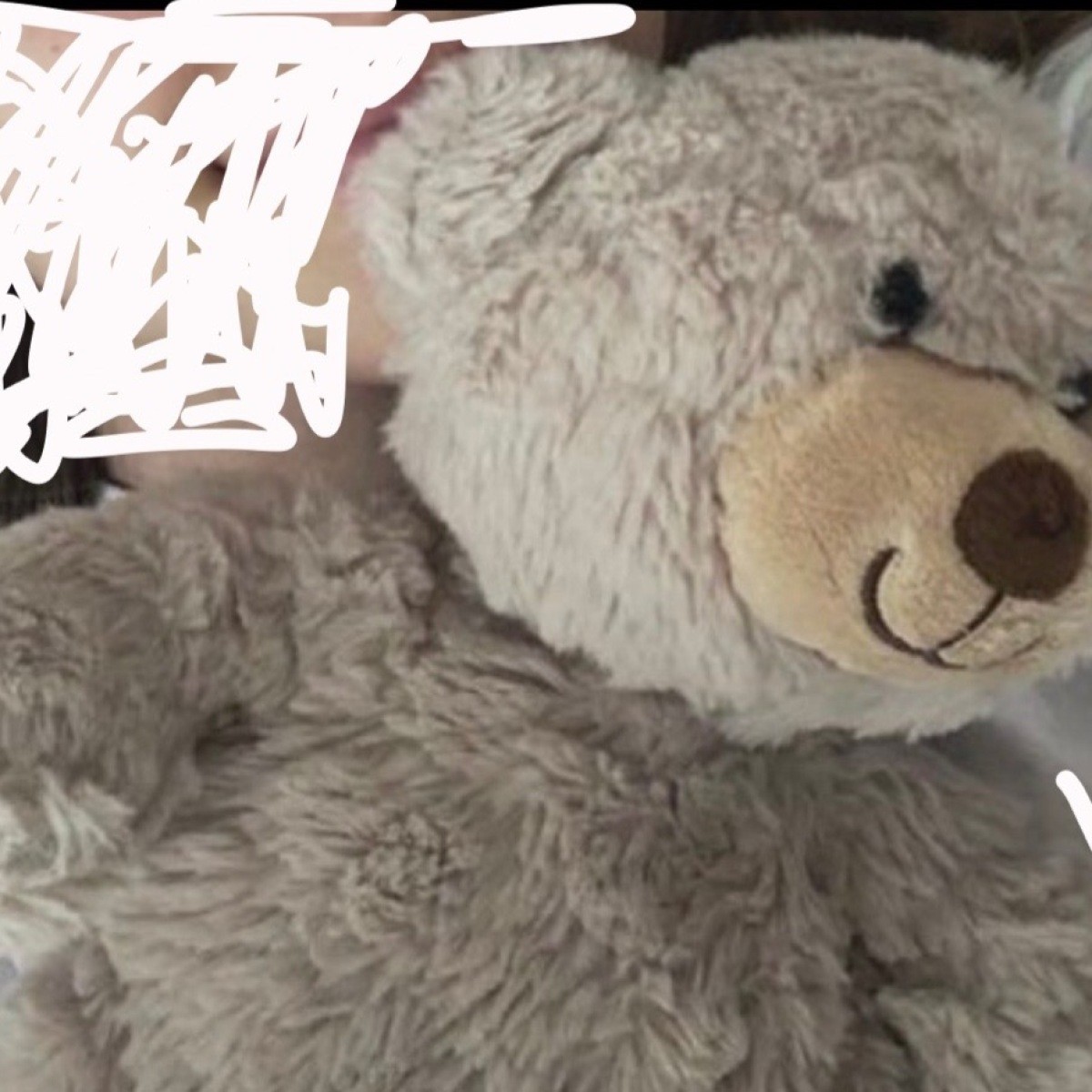 Identifying Teddy Bear? | ThriftyFun